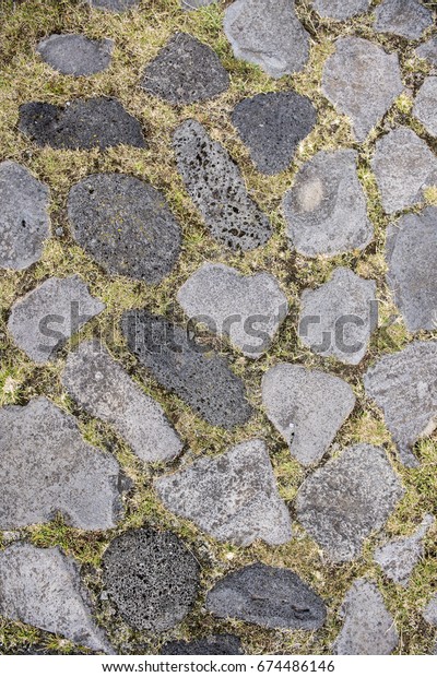 Rock Grass Texture Stock Photo 674486146 | Shutterstock