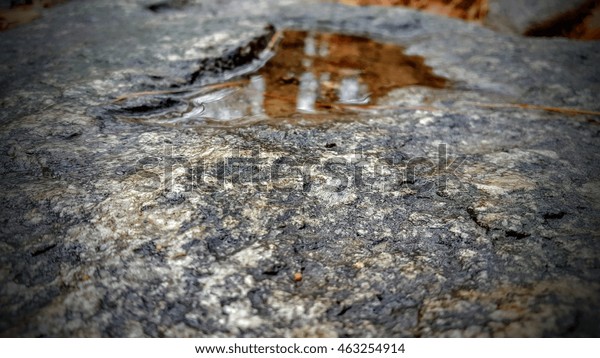 Rock Puddle Stock Photo 463254914 | Shutterstock