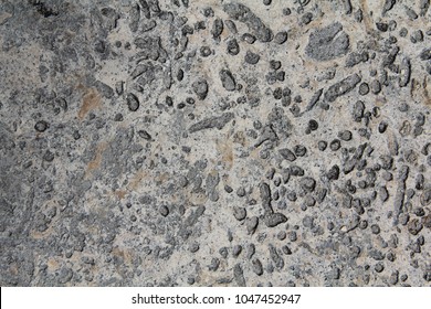 Transmission Electron Microscope Tem Micrograph Showing Stock Photo ...