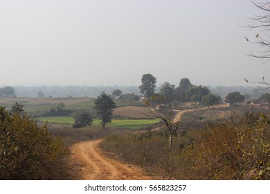 Rode Side View Stock Photo 565823257 | Shutterstock