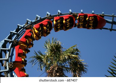 Stock Photo and Image Portfolio by Xavier Pironet | Shutterstock
