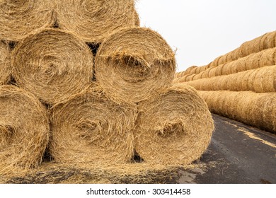 Rolling Haystack Rural Scene Stock Photo 303414458 | Shutterstock