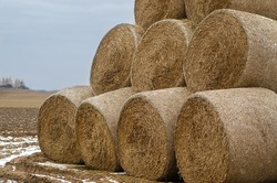 small cylindrical stack, an Industrial Photo by rsooll