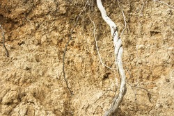 Close up of surface of dry rough stone rock soil ground texture, a ...