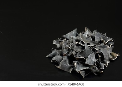 283 Kelp root Images, Stock Photos & Vectors | Shutterstock