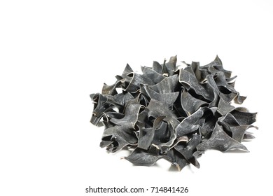 284 imágenes de Kelp root - Imágenes, fotos y vectores de stock ...