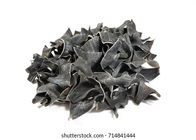 284 imágenes de Kelp root - Imágenes, fotos y vectores de stock ...