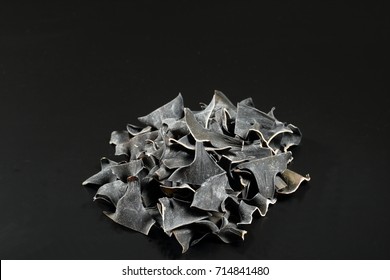 283 Kelp root Images, Stock Photos & Vectors | Shutterstock