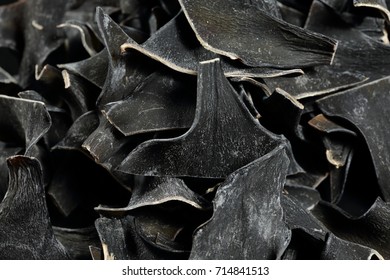 284 imágenes de Kelp root - Imágenes, fotos y vectores de stock ...