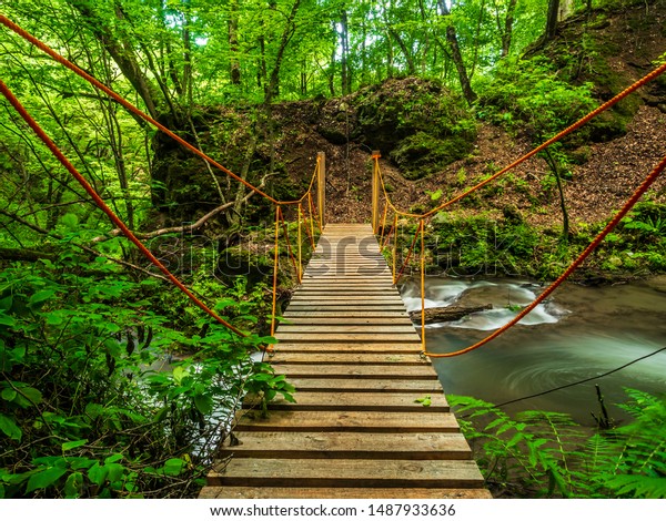 Rope Bridge Across Mountain Stream Woods Stock Photo (Edit Now) 1487933636 Rope Bridge Across Mountain Stream Woods Stock Photo (Edit Now) 1487933636