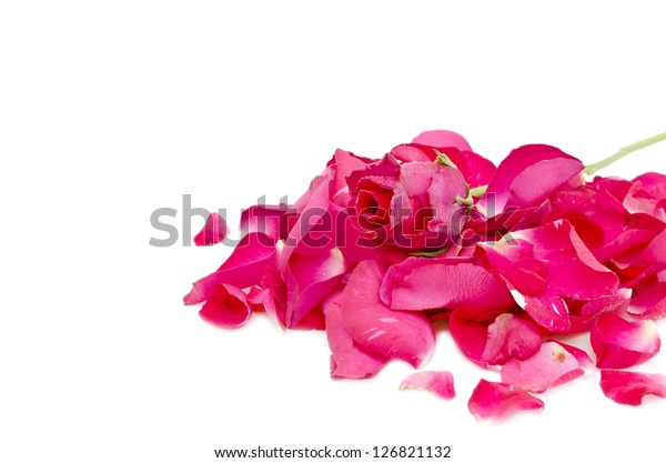 Rose On Petal Stack Stock Photo 126821132 | Shutterstock
