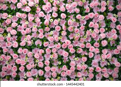 684,802 imágenes de Floral wall texture - Imágenes, fotos y vectores de ...