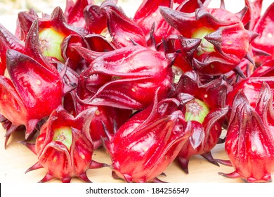 3,716 Rosella flower Images, Stock Photos & Vectors | Shutterstock