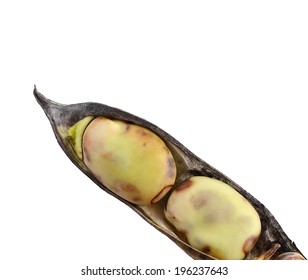 458 Rotten bean Images, Stock Photos & Vectors | Shutterstock
