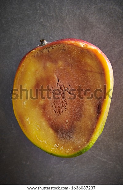 Rotten Mango Fruit Cross Section Stock Photo 1636087237 | Shutterstock