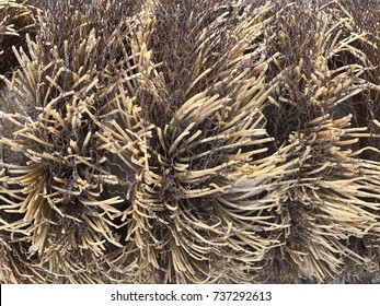 Rough Edges Stock Photo 737292613 | Shutterstock