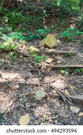 Rough Mountain Path Stock Photo 494293594 | Shutterstock