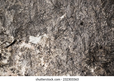 Real Steel Backgroundraw Steel Background Texture Stock Photo 347953019 ...