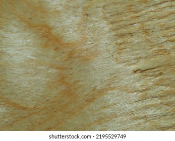 Rough Surface Texture Light Sawn Wood Stock Photo 2195529749 | Shutterstock
