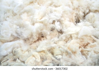 177 Scratchy wool Images, Stock Photos & Vectors | Shutterstock