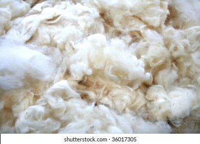 177 Scratchy wool Images, Stock Photos & Vectors | Shutterstock