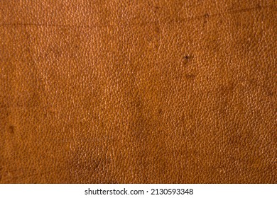 1,525 Camel Colored Leather Images, Stock Photos & Vectors | Shutterstock