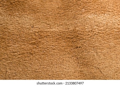 1,205 Strong camel Images, Stock Photos & Vectors | Shutterstock