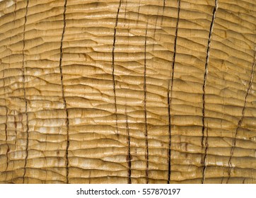 5,929 Chiseled wood texture Stock Photos, Images & Photography ...