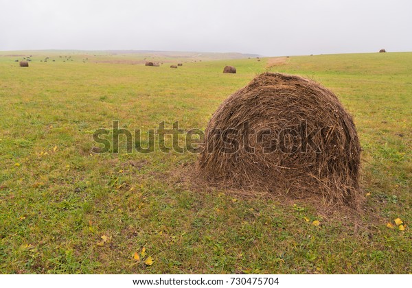 Round Haystack On Sloping Green Field Stock Photo 730475704 | Shutterstock