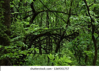 Stock Photo and Image Portfolio by Babsview | Shutterstock