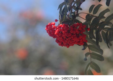 Cartera de fotos e imágenes de stock de ValentynU | Shutterstock