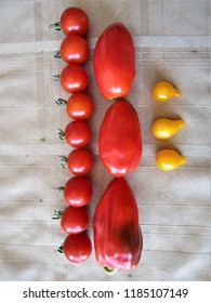 26 Teardrop tomato Images, Stock Photos & Vectors | Shutterstock