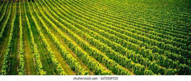 10,184 Vineyard above Images, Stock Photos & Vectors | Shutterstock