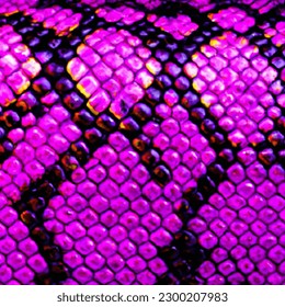 Royal Python Skin Pattern Deep Violet AI-generated image 2300207719 ...