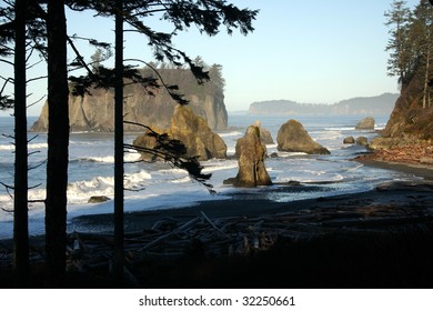 Ruby Beach Stock Photo 32250661 | Shutterstock