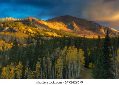 218 Colorado ruby Images, Stock Photos & Vectors | Shutterstock