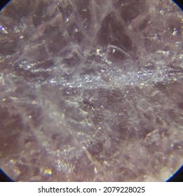 Stock Photo and Image Portfolio by Microshoot | Shutterstock