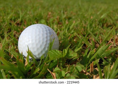 Stock Photo and Image Portfolio by marco | Shutterstock