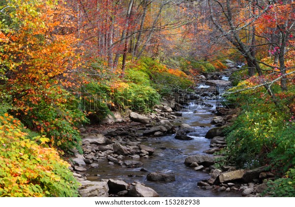 Running Water Stream Stock Photo 153282938 | Shutterstock