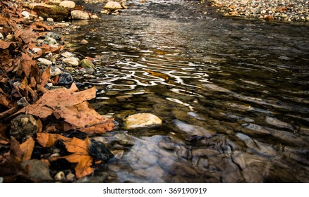 133 Ruscello Images, Stock Photos & Vectors | Shutterstock