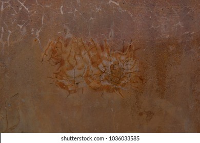 Rust Stretch Marks On Surface Soil Stock Photo 1036033585 | Shutterstock