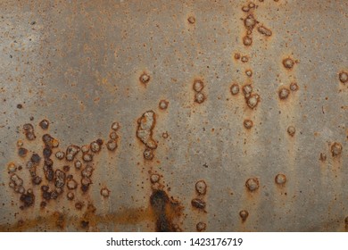 Bacteria Under Microscope 100x Stock Photo 1086668549 | Shutterstock