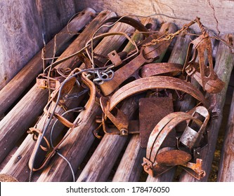 8,596 Hunter trap Stock Photos, Images & Photography | Shutterstock