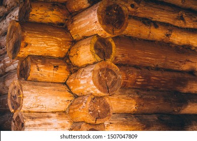 1,187 Debarked Log Images, Stock Photos & Vectors | Shutterstock