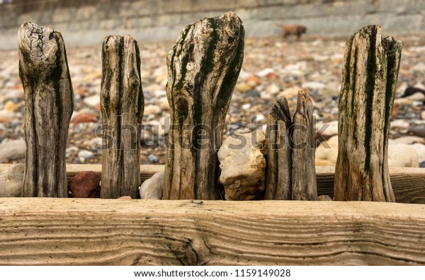 Rustic Looking Beach Wood Structure Stock Photo 1159149028 | Shutterstock