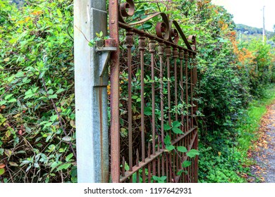 Rustic Rusty Gate Stock Photo 1197642931 | Shutterstock