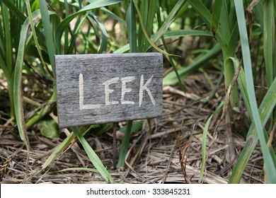 9 Leek wood marker Images, Stock Photos & Vectors | Shutterstock