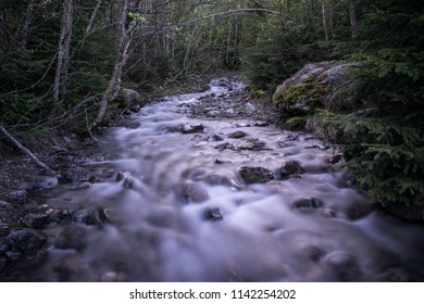 215 Rustle In The Woods Images, Stock Photos & Vectors | Shutterstock