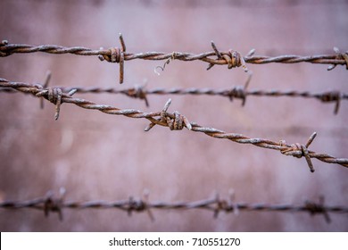 Rusty Barbed Wire On Background Blurred Stock Photo 710551270 ...