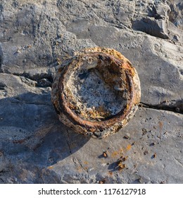 7 Lithic ring Images, Stock Photos & Vectors | Shutterstock